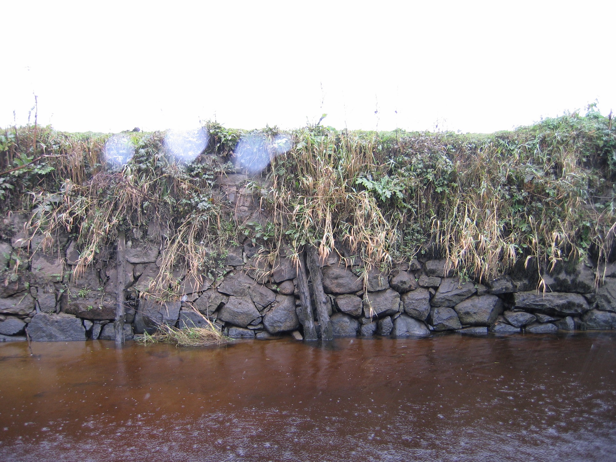 The SCAPE Trust